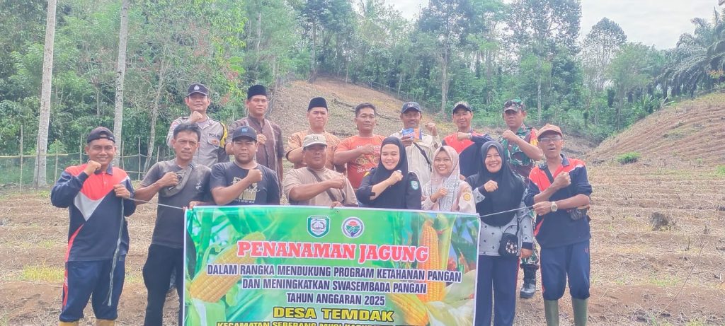 Penanaman Jagung Serentak 1 Juta Hektar di Kepahiang: Sinergi Polri dan Kementerian Pertanian RI ...